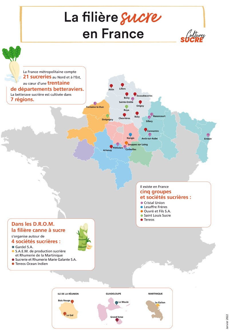 La filière sucre en France | Cultures sucre